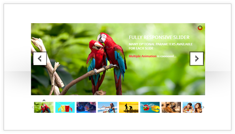 Home - Video Right - All In One Slider WordPress Plugin and jQuery Plugin - Banner Rotator ...